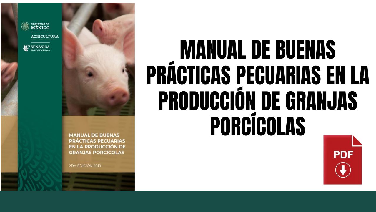 Manual de Buenas Prácticas en Granjas Porcícolas